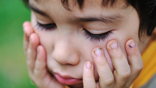 ASCA National Model, 4th Edition: Assess - American School Counselor ...